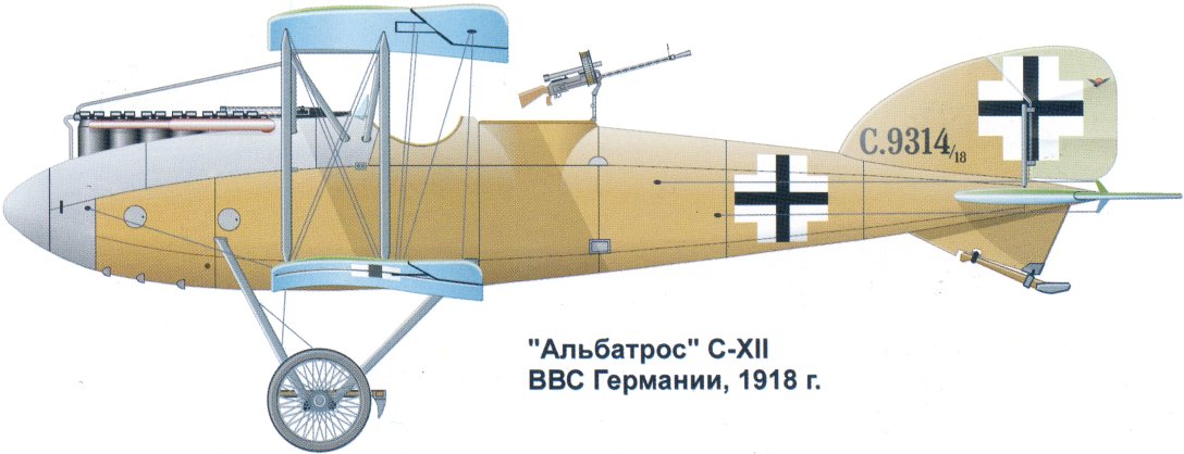 Albatros C.XII