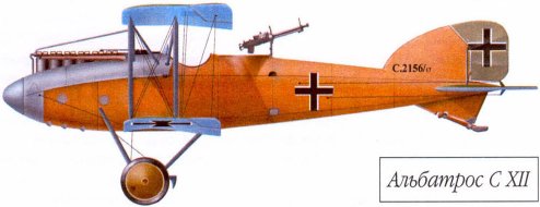 Albatros C.XII
