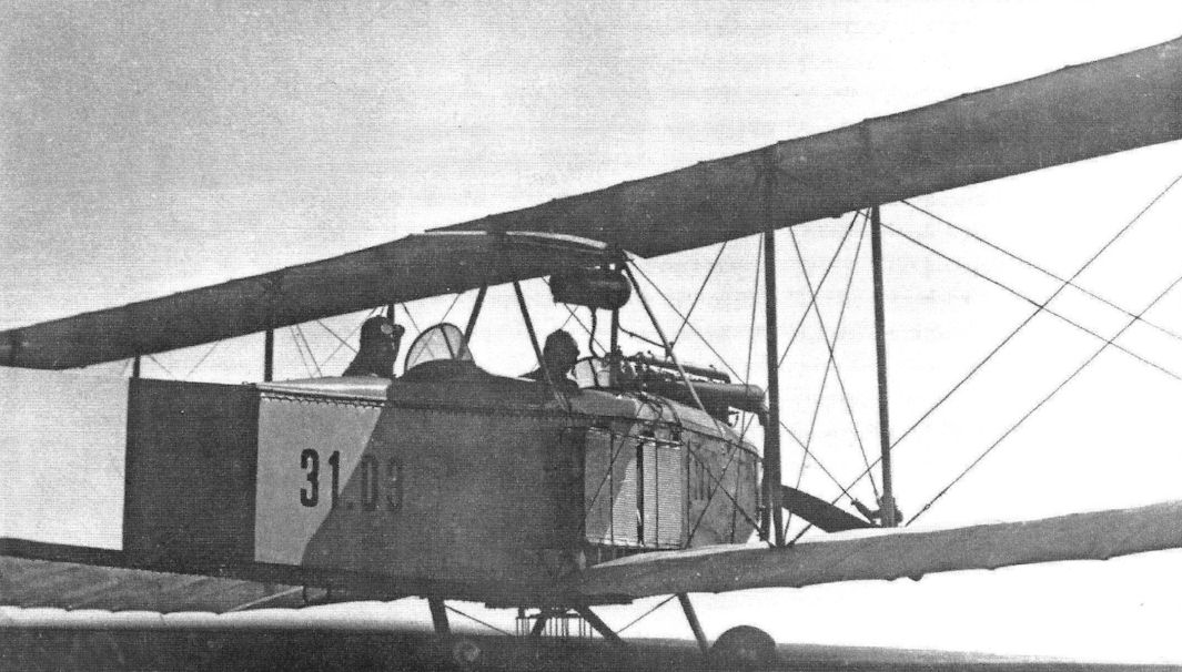 A.Olejko - Habsburg Wings 1915 /Aeronaut/