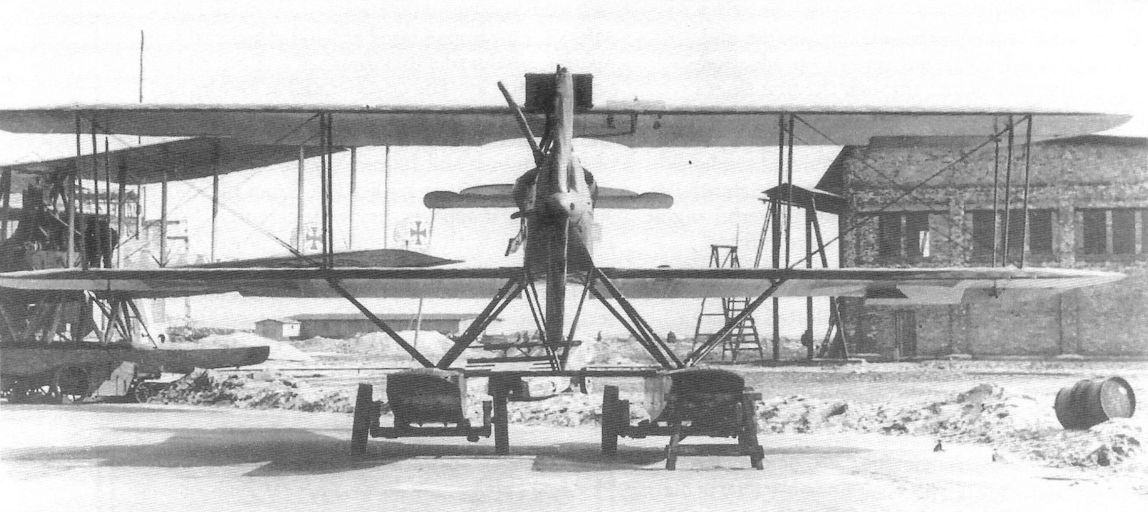 Hansa-Brandenburg W.19
