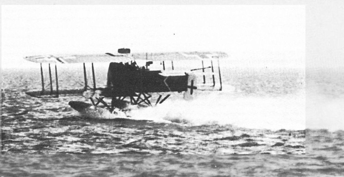 Hansa-Brandenburg W.19