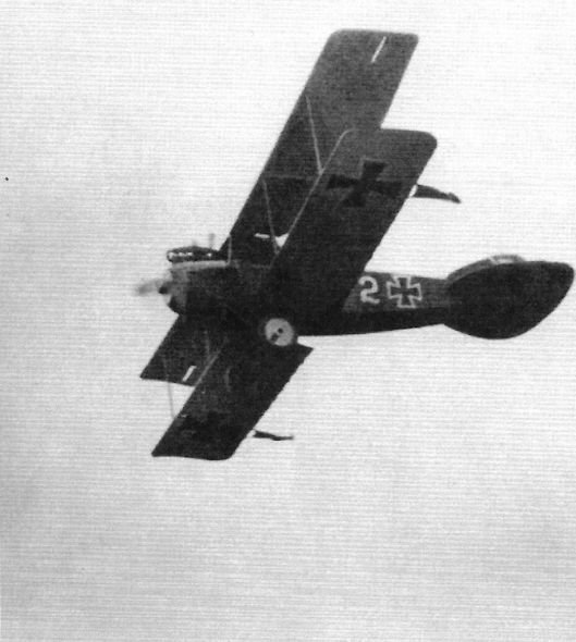 Albatros C.VII