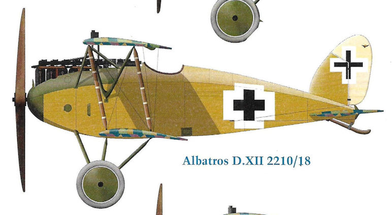 Albatros D.XII