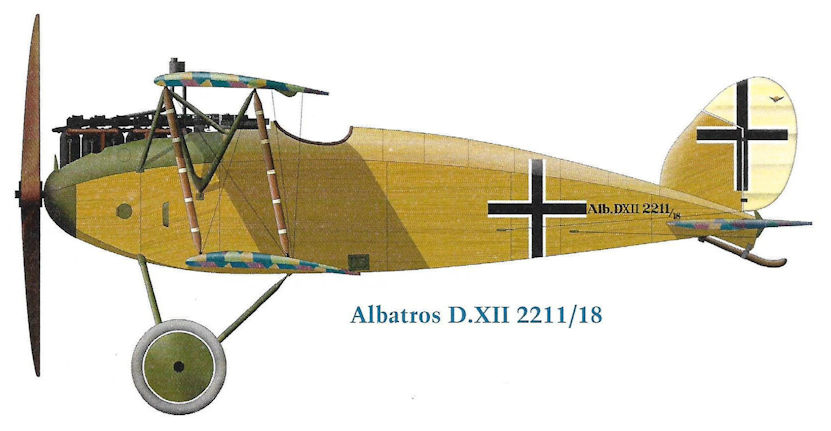 Albatros D.XII