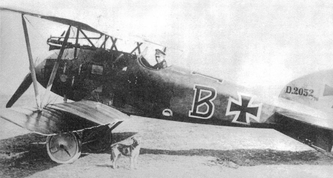 Albatros D.III