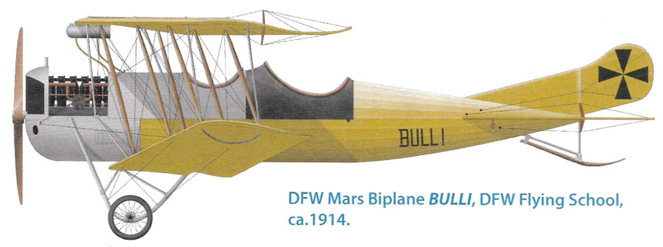 J.Herris - DFW Aircraft of WWI /Centennial Perspective/
