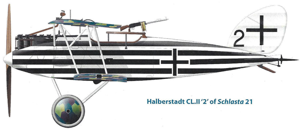 Halberstadt CL.II/CL.IIa