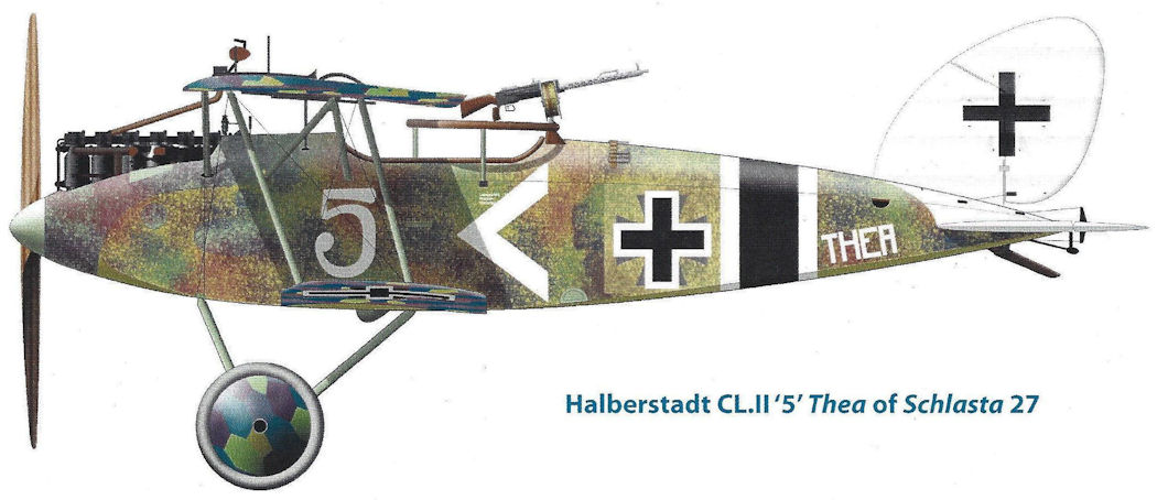 Halberstadt CL.II/CL.IIa