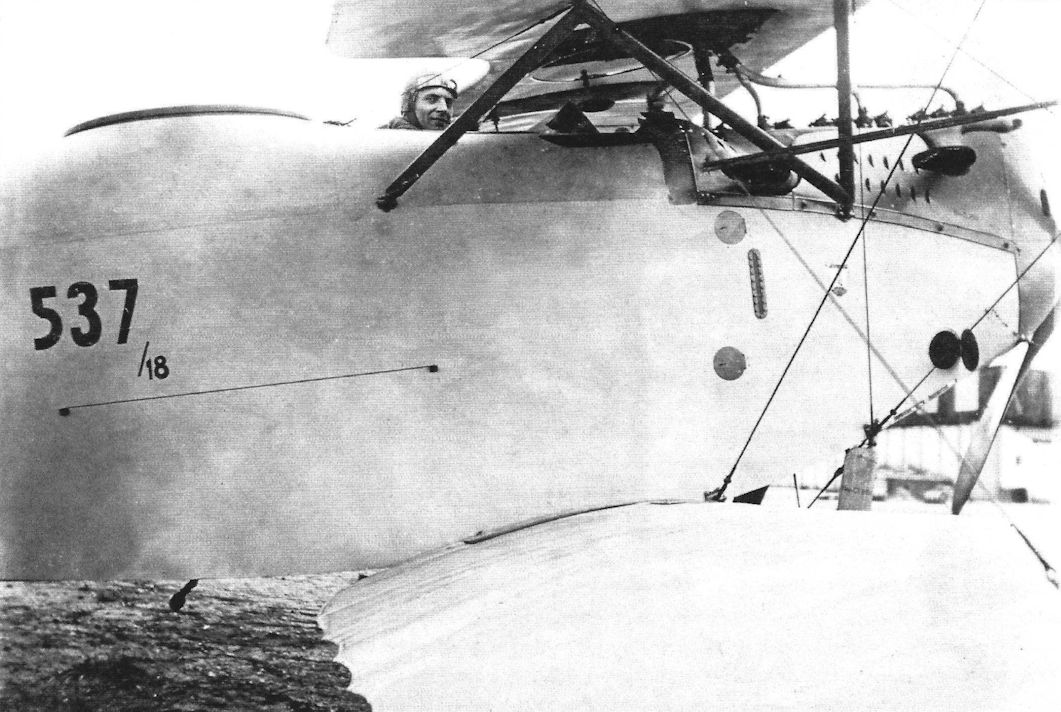 C.Owers, J.Herris - Hannover Aircraft of WWI /Centennial Perspective/ (46)