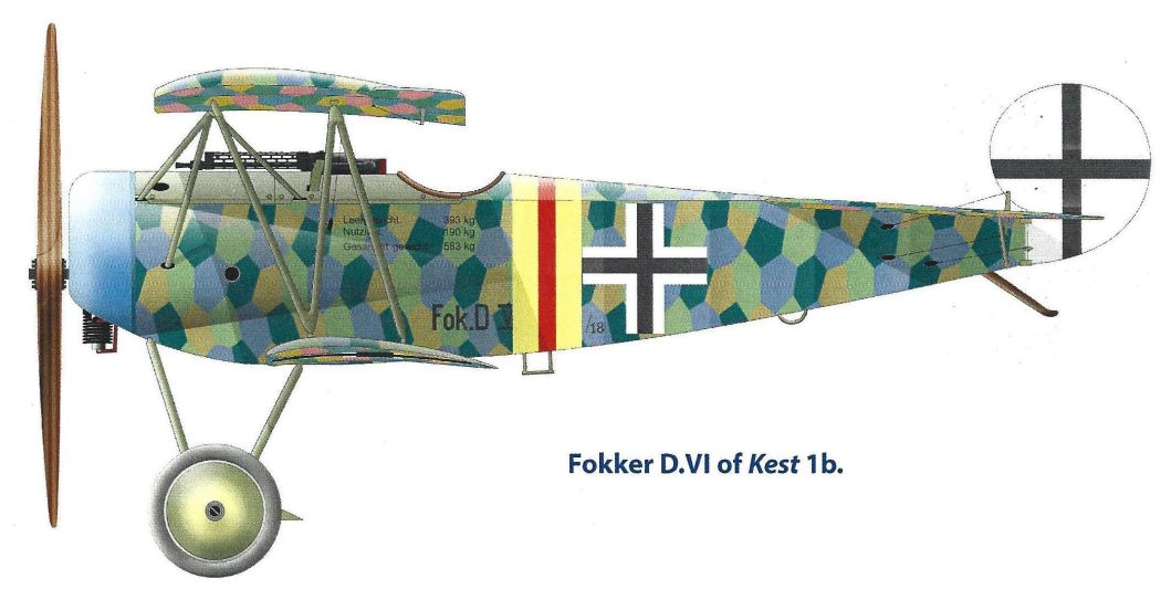 J.Herris, J.Leckscheid - Fokker Aircraft of WWI. Vol.5: 1918 Designs ...