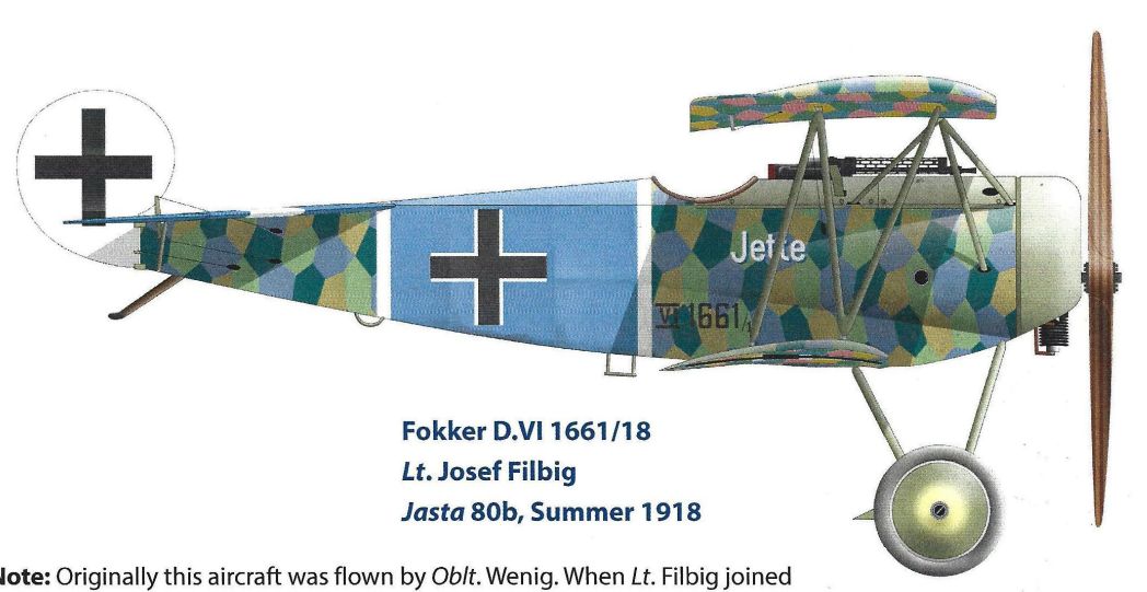 J.Herris, J.Leckscheid - Fokker Aircraft of WWI. Vol.5: 1918 Designs ...