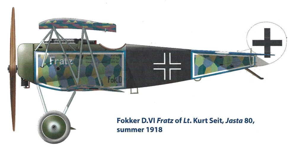 J.Herris, J.Leckscheid - Fokker Aircraft of WWI. Vol.5: 1918 Designs ...