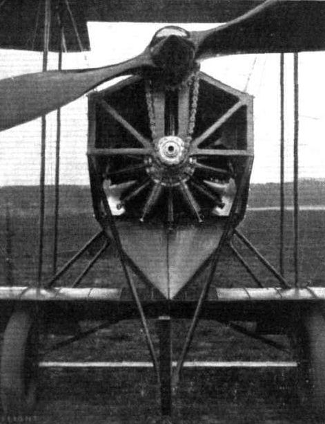 COW biplane