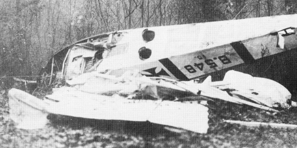 Aviatik B.I / B.II / P.15