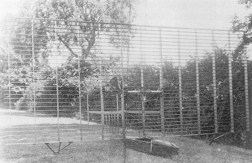 Phillips multiplane No.2