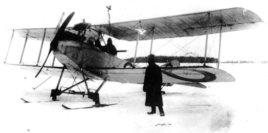 Albatros C.I